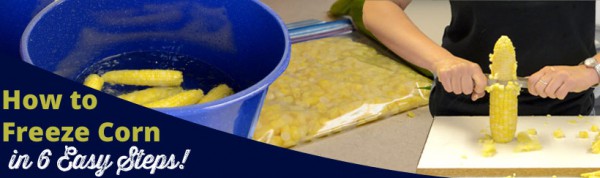 How to Freeze Corn - Plus Easy Corn-Cutting Method!